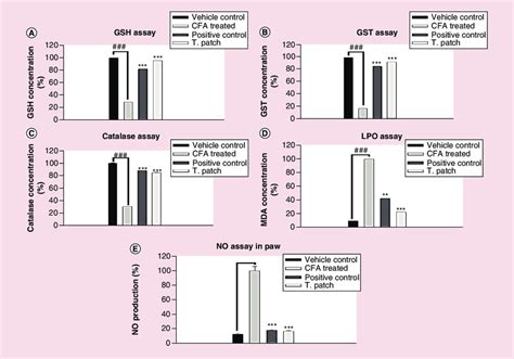 Effect Of Flurbiprofen Loaded Nanoparticle Based Transdermal Patch On Download Scientific