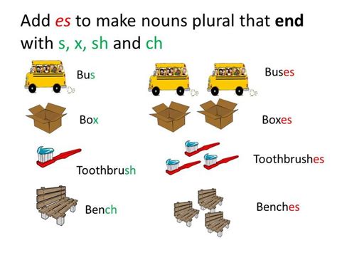Add Es Plural Nouns