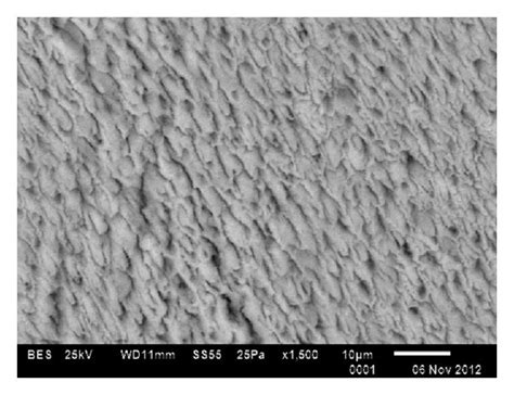 SEM Micrographs Of Enamel Etching Patterns By Group A Etched For Download Scientific Diagram