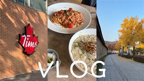 Vlog L 먹고 걷고 또 먹는 브이로그😅 과천 브런치카페 광화문 교보문고 팀홀튼까지 알차게 놀기 💨 Youtube