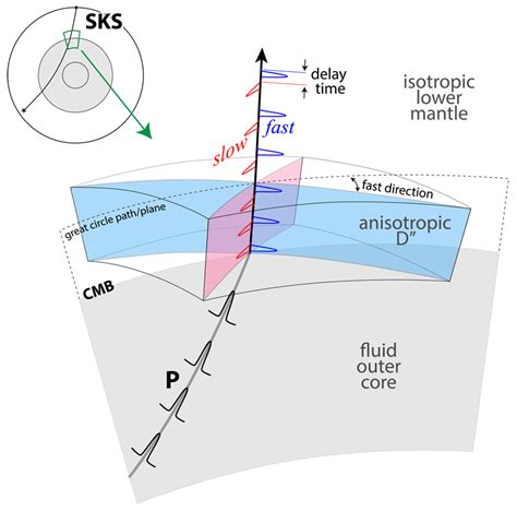 schematic illustration of shear wave splitting due to lowermost mantle