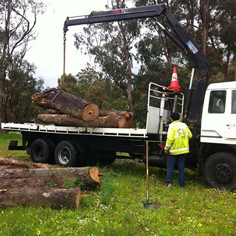 Mandurah Perth Tree Services