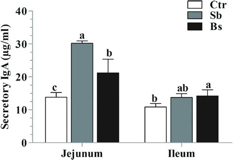 Effects Of Saccharomyces Boulardii And Bacillus Subtilis On Jejunum And
