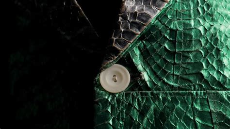 54 Python Black Background Stock Videos Footage And 4k Video Clips