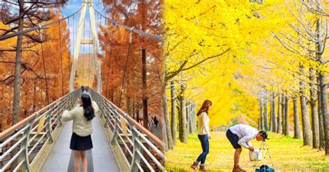 매년 찾아가는 곳당일치기 여행으로 떠나는 10월 가을여행지 추천 Best5