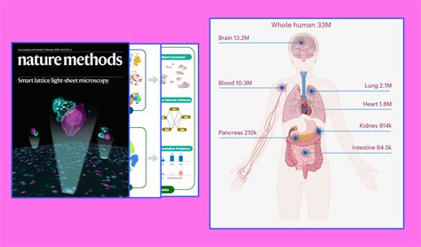 New Generative Ai Tool Predicts Gene Expression In A Single Cell