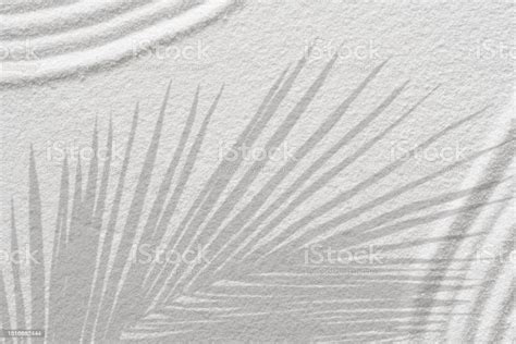 일본식 선 패턴에 야자수가 있는 선 정원 백사장 파도 평행선이 있는 모래 질감 표면 배경 스파 테라피 순결 조화 균형 명상 개념과 같은 선 0명에 대한 스톡 사진 및 기타