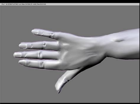 Not So Slim Cute Young Lady Nudity Skin Texturing Started Works In