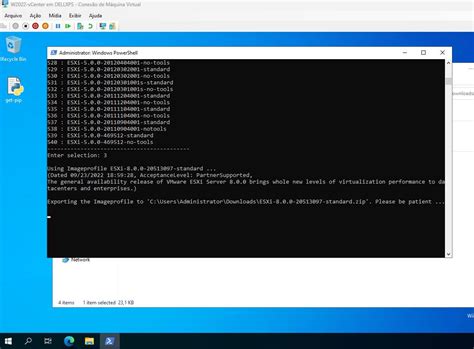 Vmware Esxi Hyperv Networking Work Luiz Monteiro