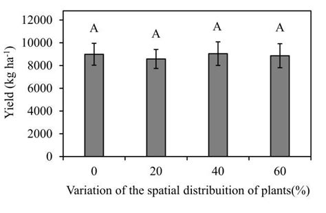 Yield Of Maize Subjected To Four Different Spatial Variations In The