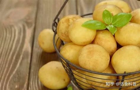 土豆怎么保存不容易发芽 知乎