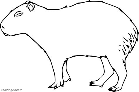 Капибара как нарисовать легко карандашом найдено 87 картинок