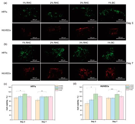 Development Of Recombinant Human Collagen Based Porous Scaffolds For Skin Tissue Engineering