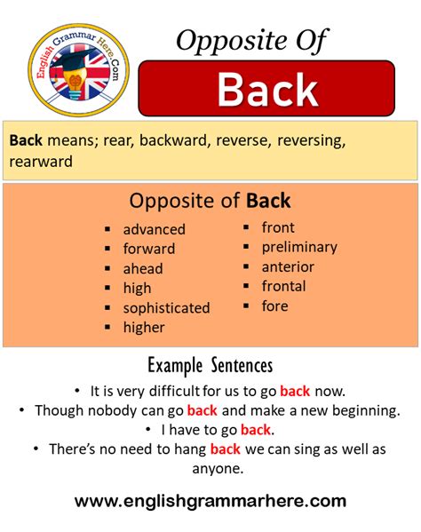 Opposite Of Regret Antonyms Of Regret Meaning And Example Sentences