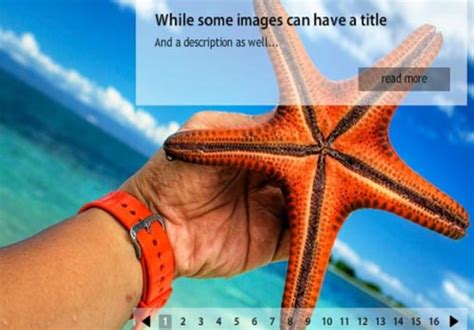 Create A Jquery Image Slider Including Captions And Links For You By Webdesigner2012 Fiverr