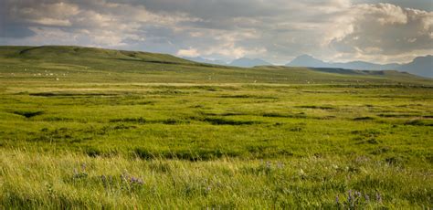 Protecting Americas Grasslands The Conservation Fund