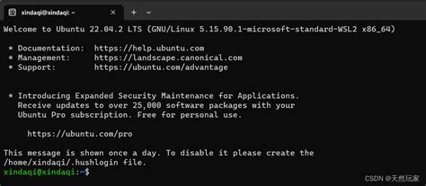 Windows11部署wsl2以及迁移操作系统位置win11使用wsl2迁移ubuntu Csdn博客