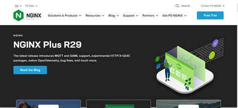 Nginx Open Source Vs Nginx Plus Vs Open Appsec