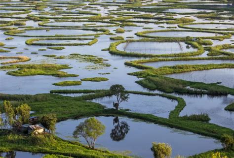 Loktak Lake Hydraulic Excavators To Keep The Water Body Clean