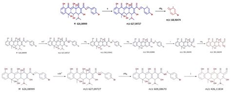 Fragmentation Pattern Generated By Mass Frontiertm And Ms2 Spectra For Download Scientific