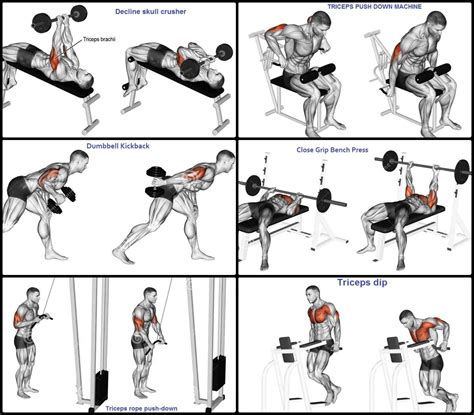 Pin On Gym Workout Exercises For Men And Women