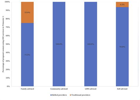 Antenatal Care ANC Uptake By Pregnant Women By Type Of Social Network Download Scientific