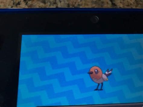 Got A Shiny Fletchling Pokéverse™ Amino