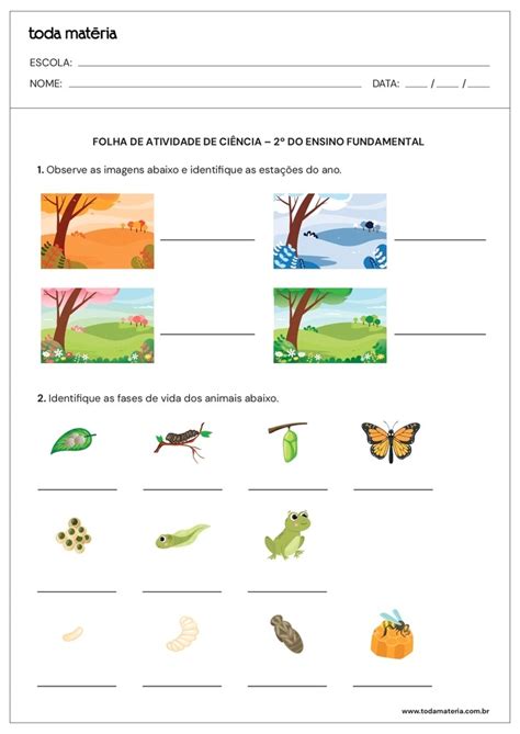 6 Folhas De Atividades De Ciências Para O 2º Ano Do Ensino Fundamental