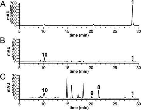 Analysis Of The Cercosporin Polyketide Synthase Ctb1 Reveals A New Fungal Thioesterase Function