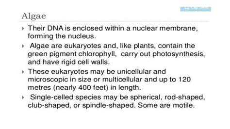 Introduction To Algae Pptx
