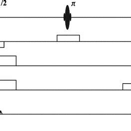 Conventional Spin Echo Pulse Sequence Download Scientific Diagram