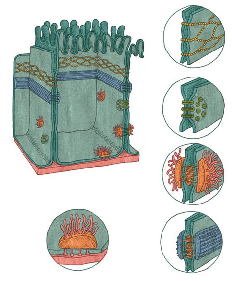 Levels Of Complexity V Martineau Illustration