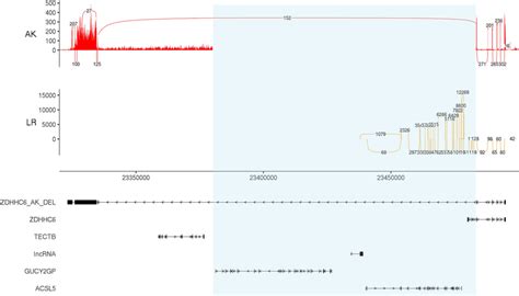 sashimi plot of rnaseq data for canfam3 genomic coordinates
