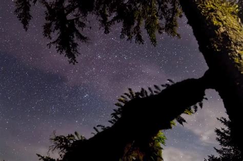 Астрологи назвали три знаки Зодіаку яким значно пощастить