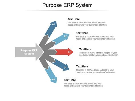 Purpose Erp System Ppt Powerpoint Presentation Styles Portfolio Cpb Presentation Graphics