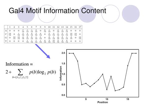Ppt Dna Motif Finding Powerpoint Presentation Free Download Id1134511