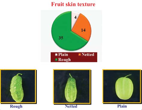 Variability And Frequency Distribution Of Fruit Skin Download