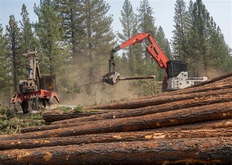 How Ht Pallets Are Heat Treated A Comprehensive Guide To Ispm 15