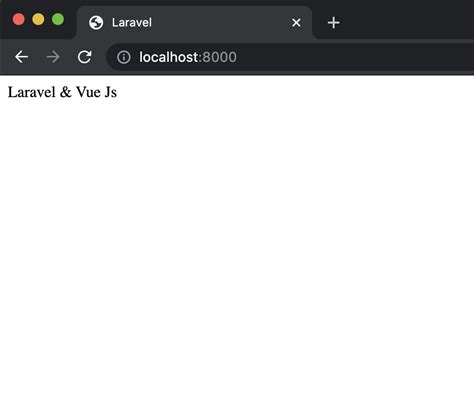 Integrate Vuejs In Laravel Quick Zoneofit