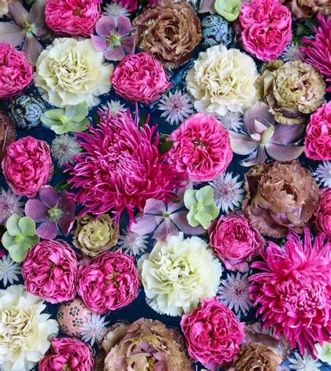 Глобално интегрален свят Защо му е нужен на човек мозък Нашият мозък не получава не