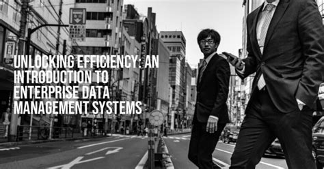 Unlocking Efficiency An Introduction To Enterprise Data Management Systems