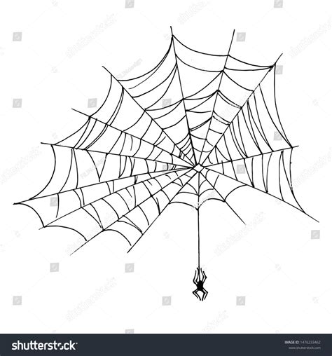 Sketch Spider Web Hand Drawn Outline Vector De Stock Libre De Regalías 1476233462