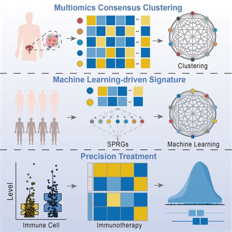 Integrated Multiomics Analysis And Machine Learning Refine Molecular