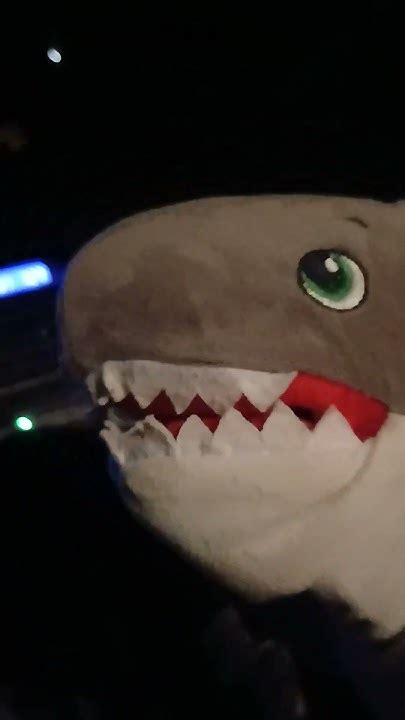 Singularity Funny Comedy Shark Single Relationship Subscribe