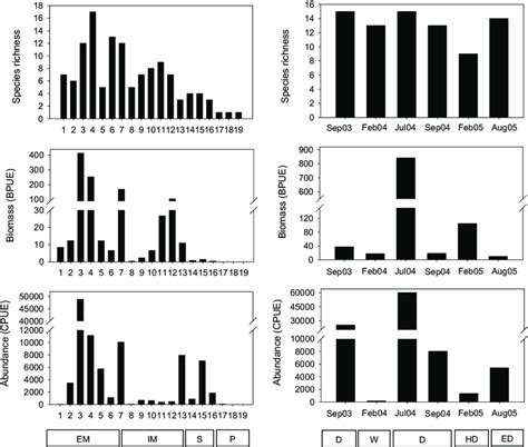 Spatial Left And Temporal Right Variation In The Total Values Of