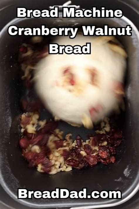 Bread Machine Cranberry Walnut Bread Recipe Video Bread Dad