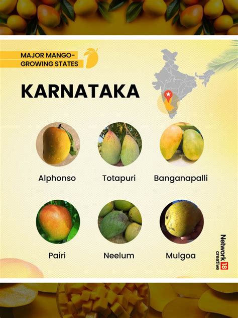 Mango Map Of India Varieties And Where They Are Grown