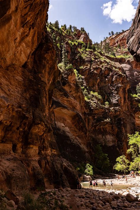 Everything You Need To Know About Hiking The Narrows In Zion National Park