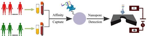 Unraveling Clinical Glycoproteome By Integrating Affinity Enrichment With Nanopore Sequencing