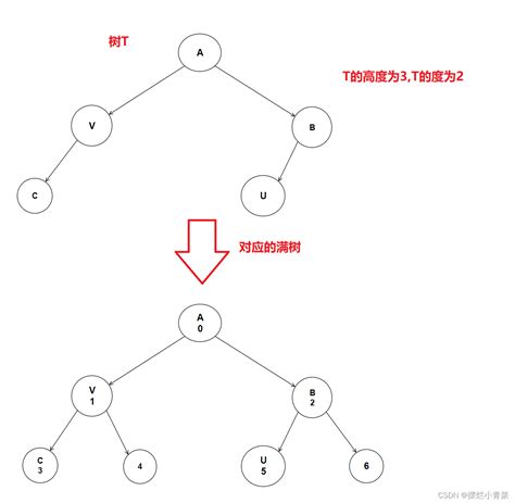 数据结构 二叉树概念篇算法基础有向树什么叫有向树 Csdn博客